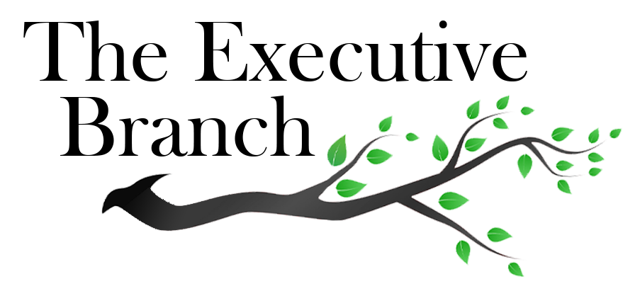 Tree Services, Emergency Tree Removal | The Executive Branch Holiday, FL